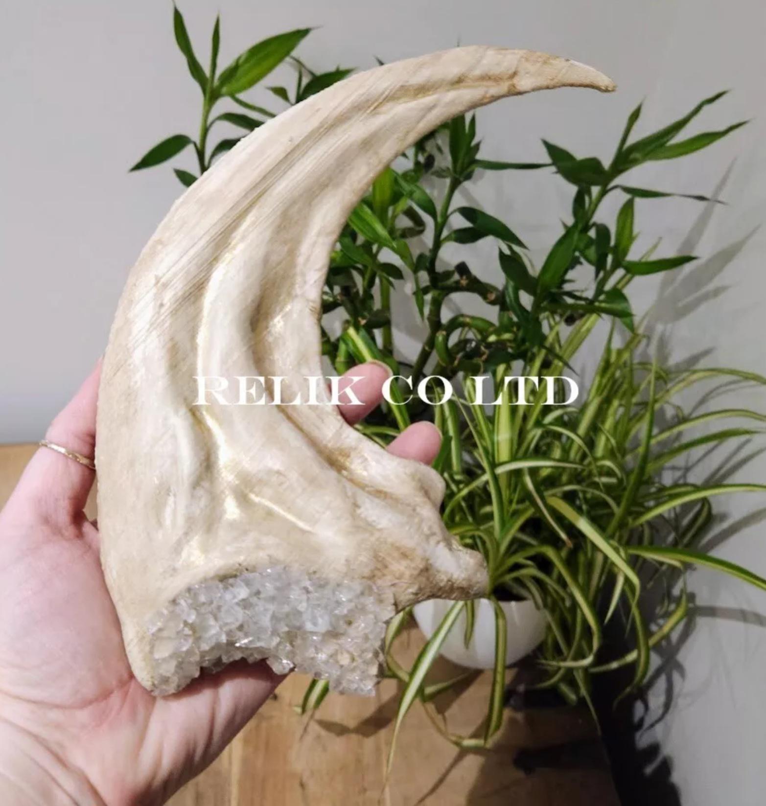 Unique Reproduction Replica Dinosaur VELOCIRAPTOR RAPTOR CLAW With ...