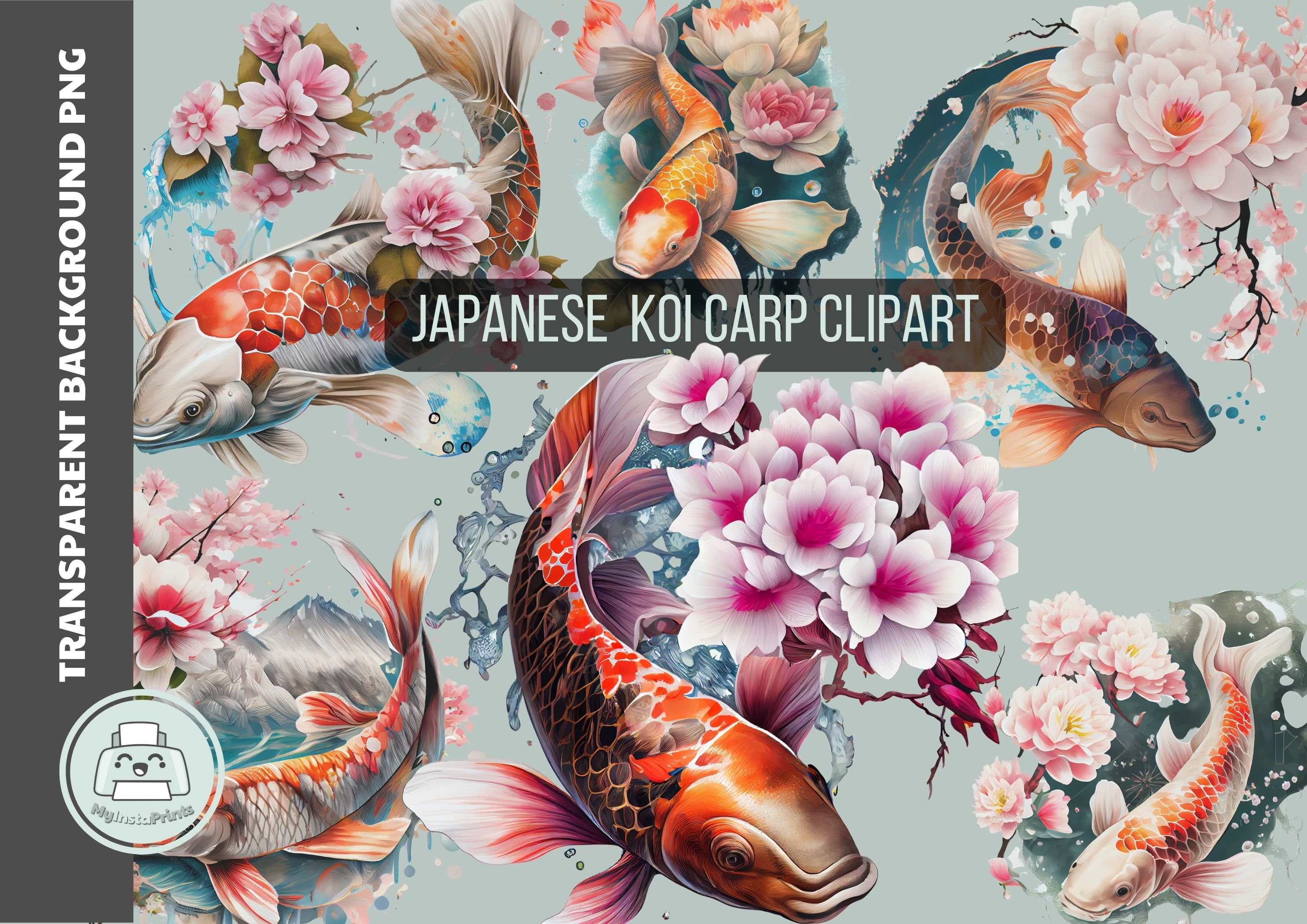 Japanese Koi Carp Fish