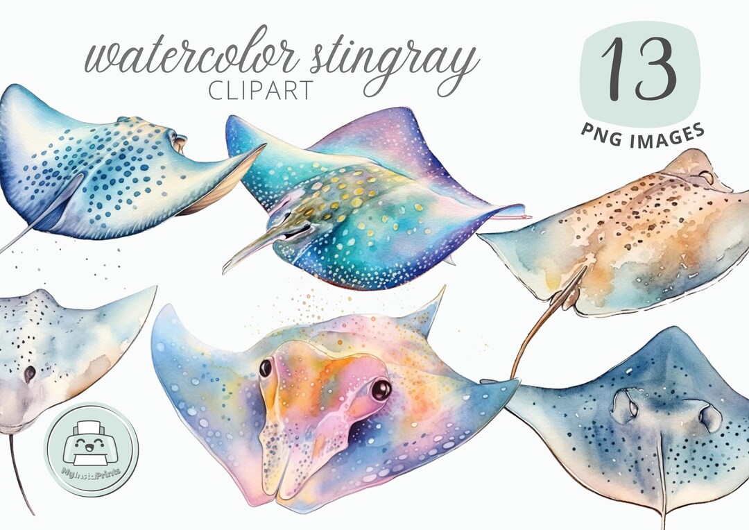 Watercolor Stingray Clipart Stingray Png Stingray Sublimation Hand ...