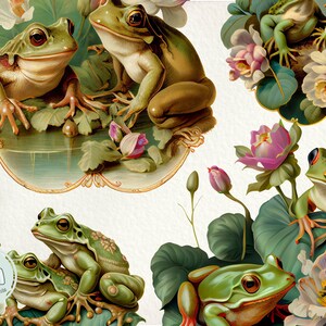Frog Watercolor Clipart, Lily Pad Png, Pond Life Clip Art Amphibian ...