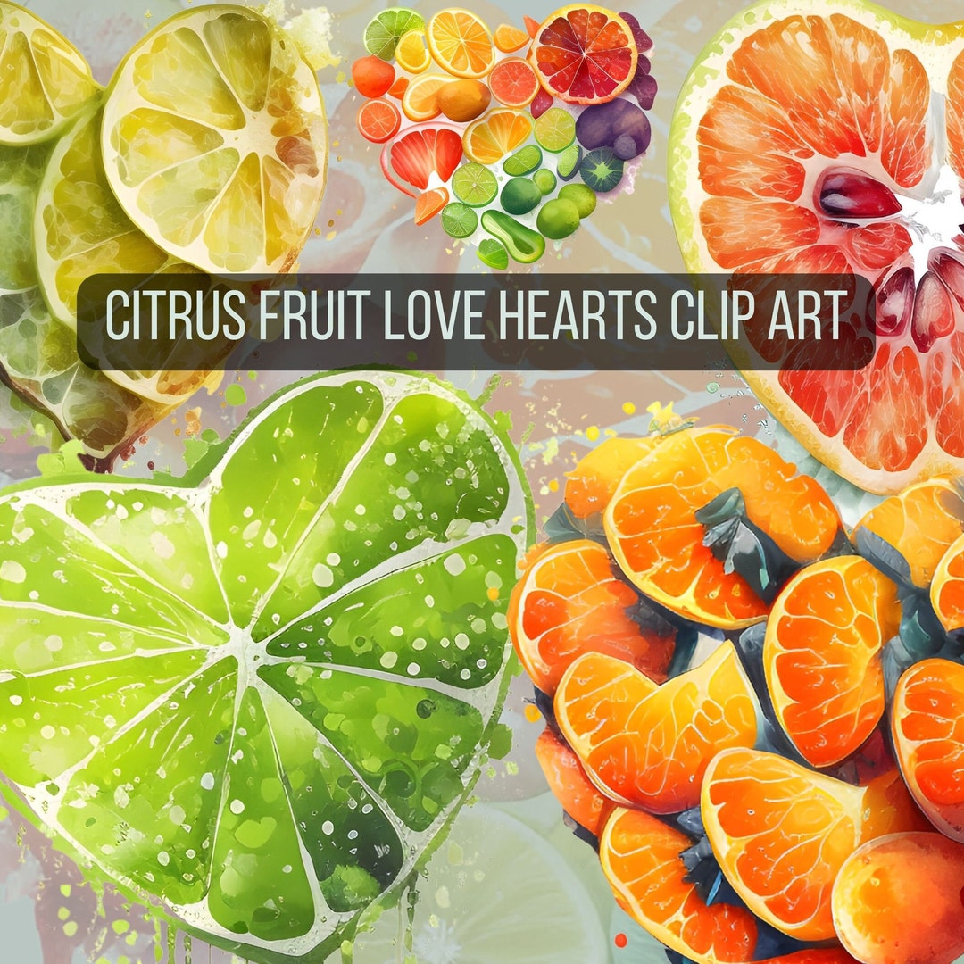 Watercolor Fruit Clipart Png Fruit Clipart Summer Fruit Clipart Fruit ...