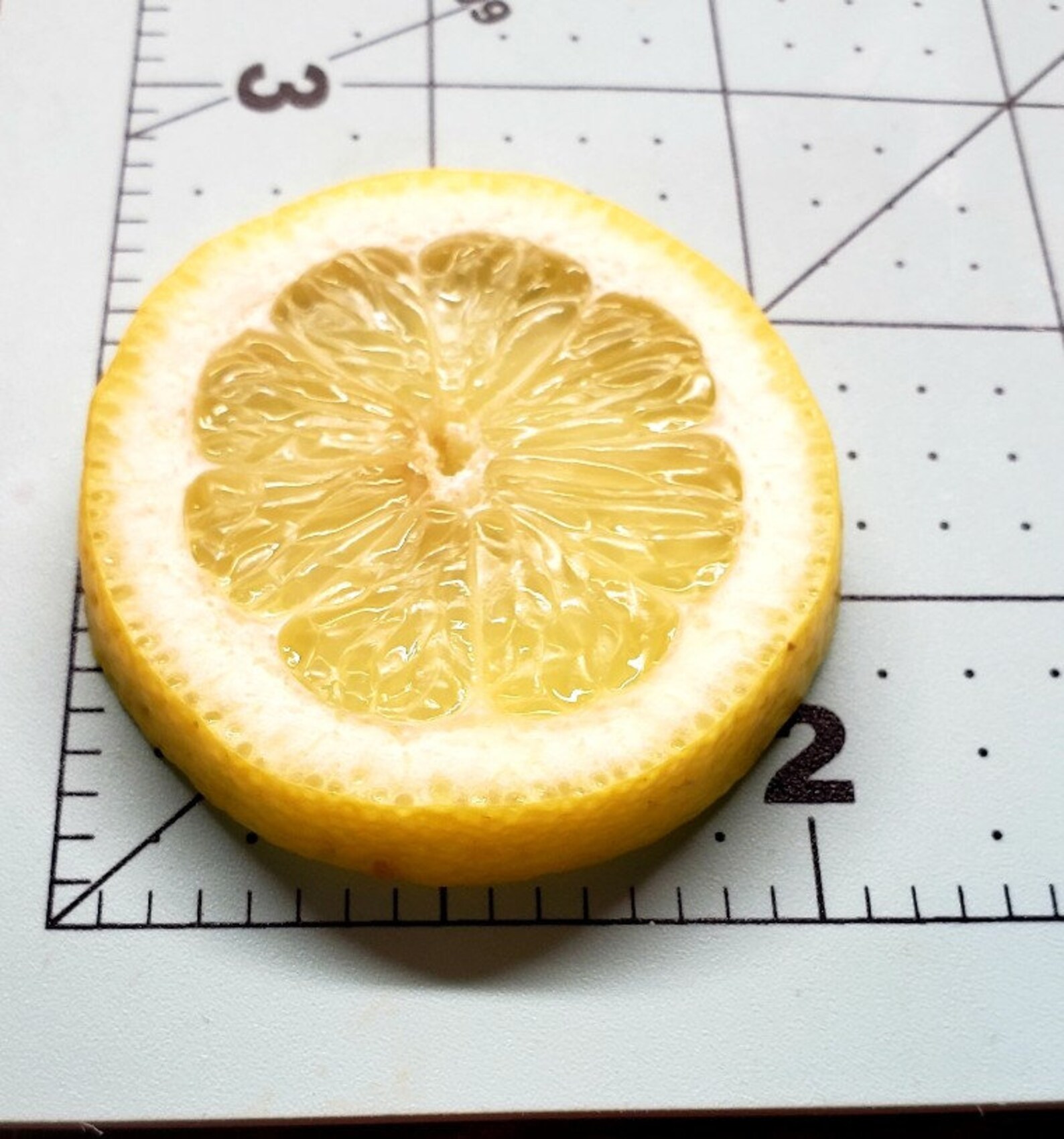 2pc Lemon Slice Citrus Silicone Mold. Embeds for Wax Soap | Etsy