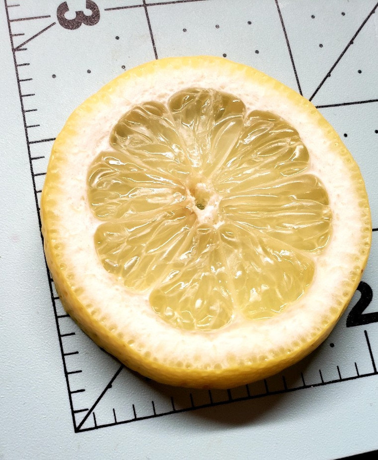 2pc Lemon Slice Citrus Silicone Mold. Embeds for Wax Soap | Etsy