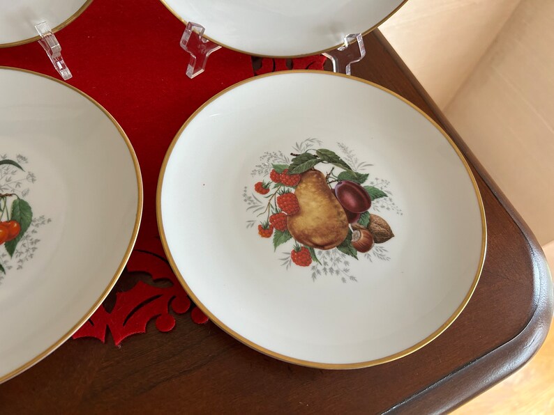 Winterling Kirchenlamitz 6 Salad/lunch Plates, Gilded Rim, Fruit Design ...
