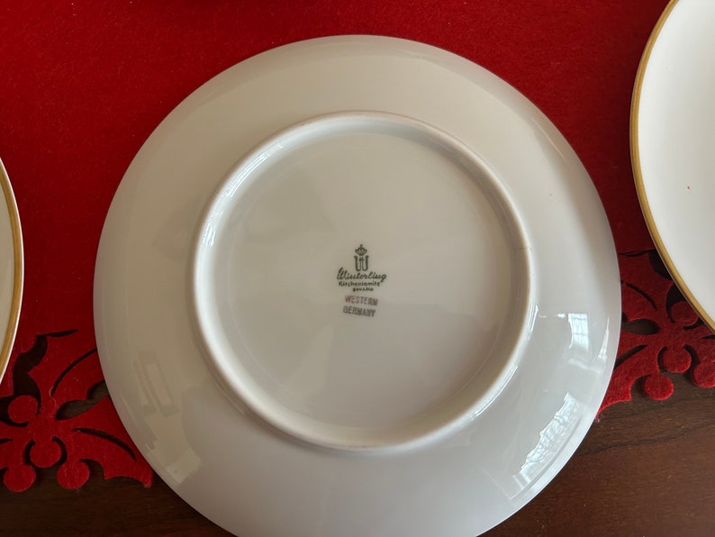 Winterling Kirchenlamitz 6 Salad/lunch Plates, Gilded Rim, Fruit Design ...