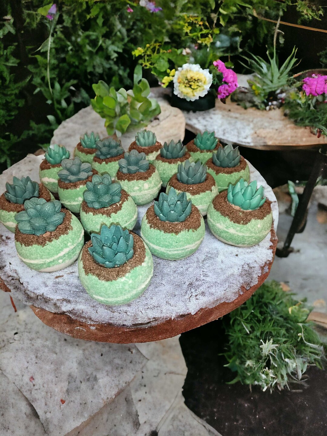 Succulent Bath Bomb 5oz With Goat Milk Soap Embed, Cucumber Splash ...