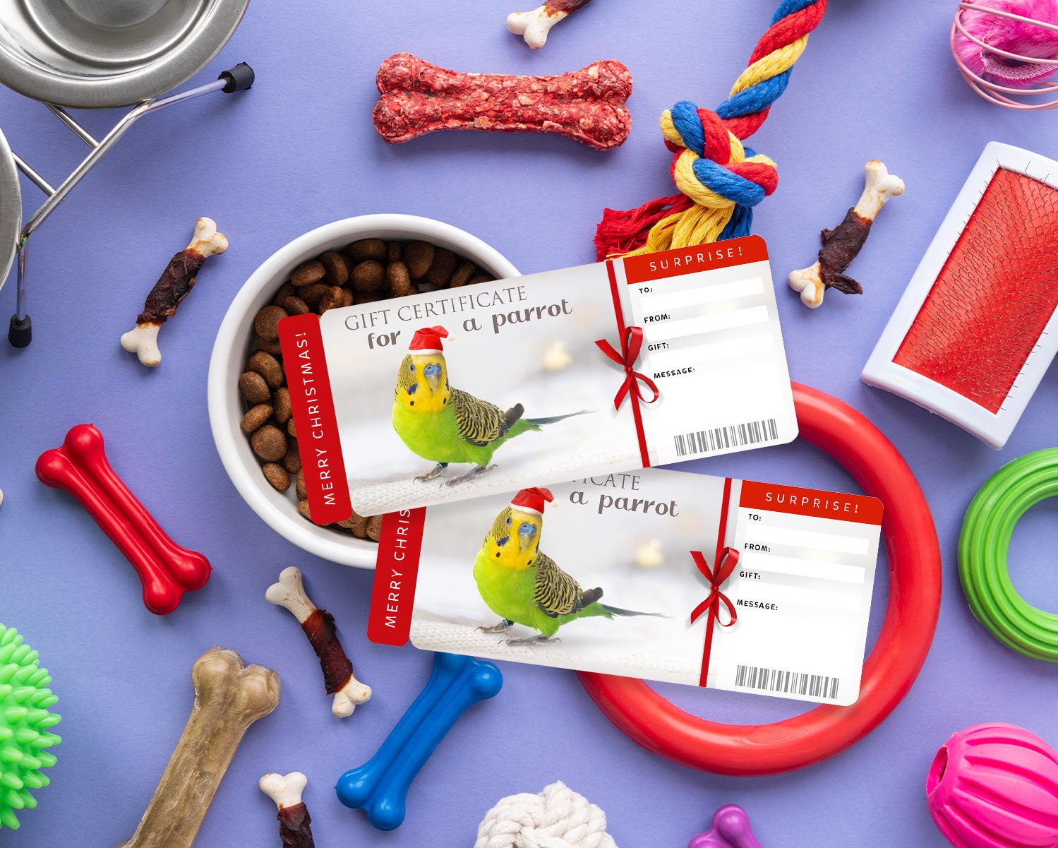 Digital Parrot Gift Certificate Printable Bird Gift Voucher - Etsy