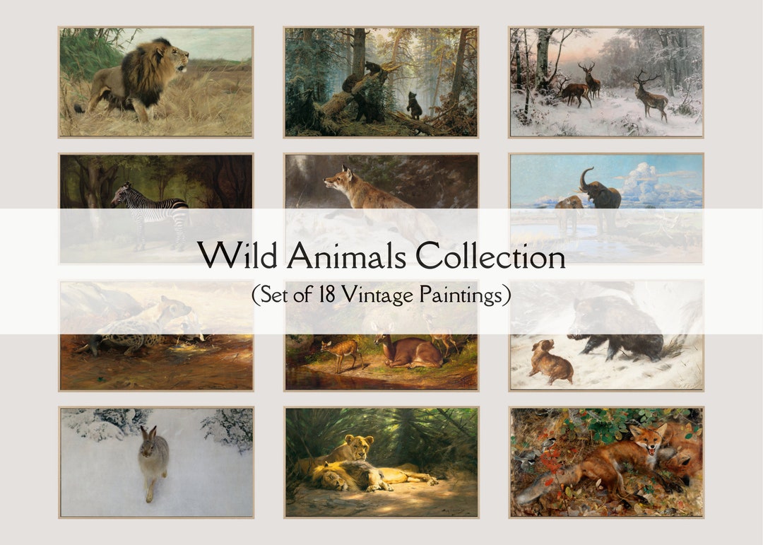 Wild Animals Vintage Art Collection Frame TV Bundle 18 Files Included ...