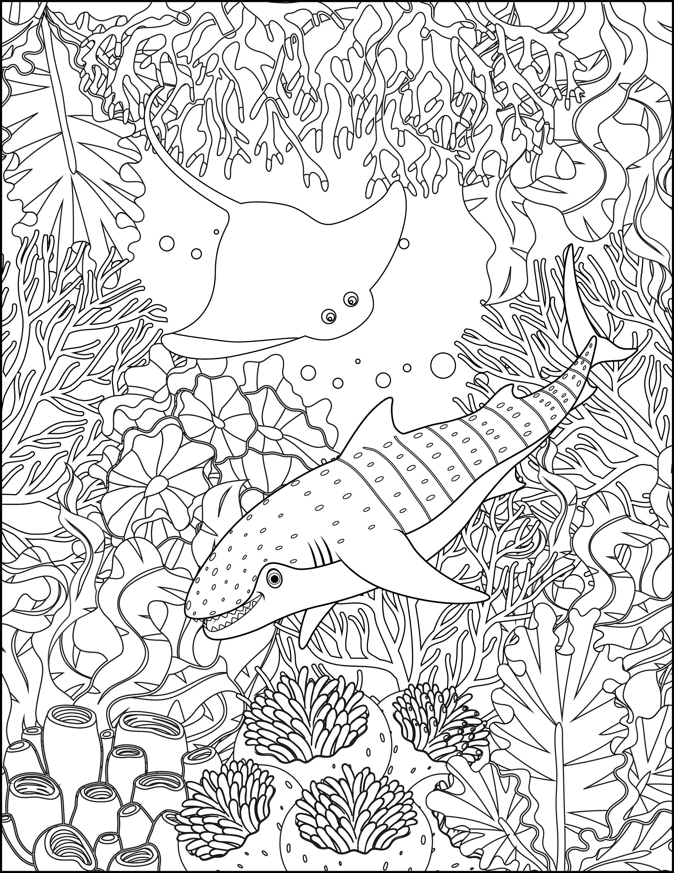 Coloring Book Pages | 10 Different Ocean Themed Pages - Etsy