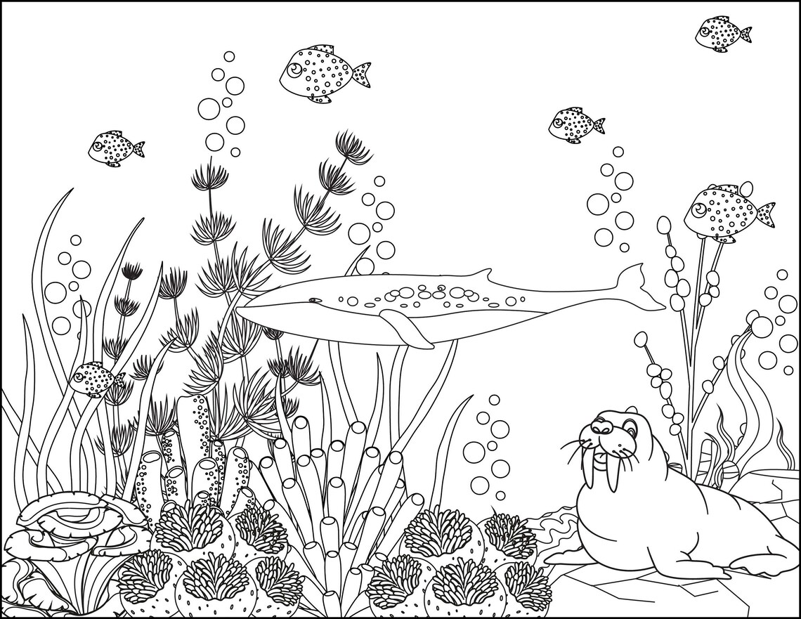 Coloring Book Pages | 10 Different Ocean Themed Pages - Etsy