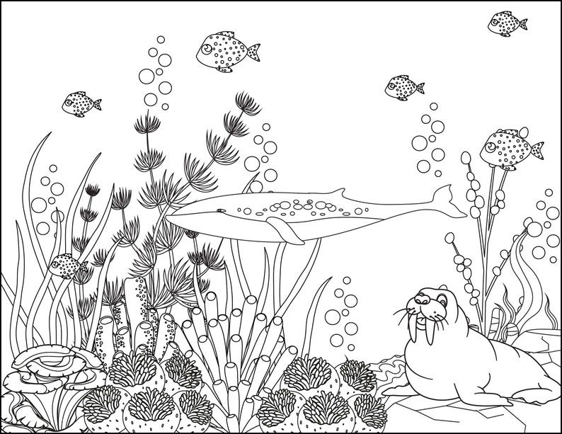 Coloring Book Pages | 10 Different Ocean Themed Pages - Etsy