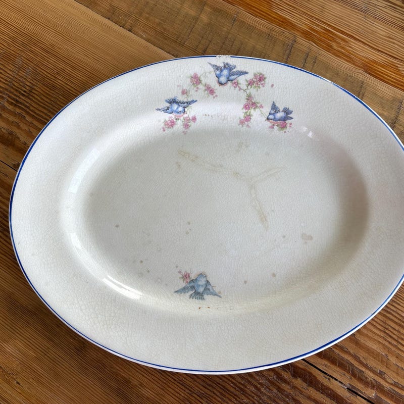 Bird Platter - Etsy