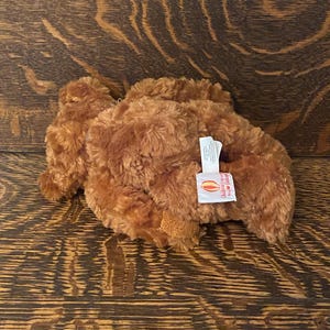 Vintage Teddy Bear TD Canada Trust Children’s Miracle Network Plush - Etsy