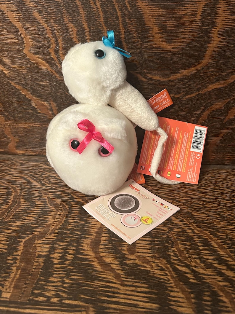 Giant Microbes Sperm Cell/egg Cell Plush Spermatozoon Human Ovum ...