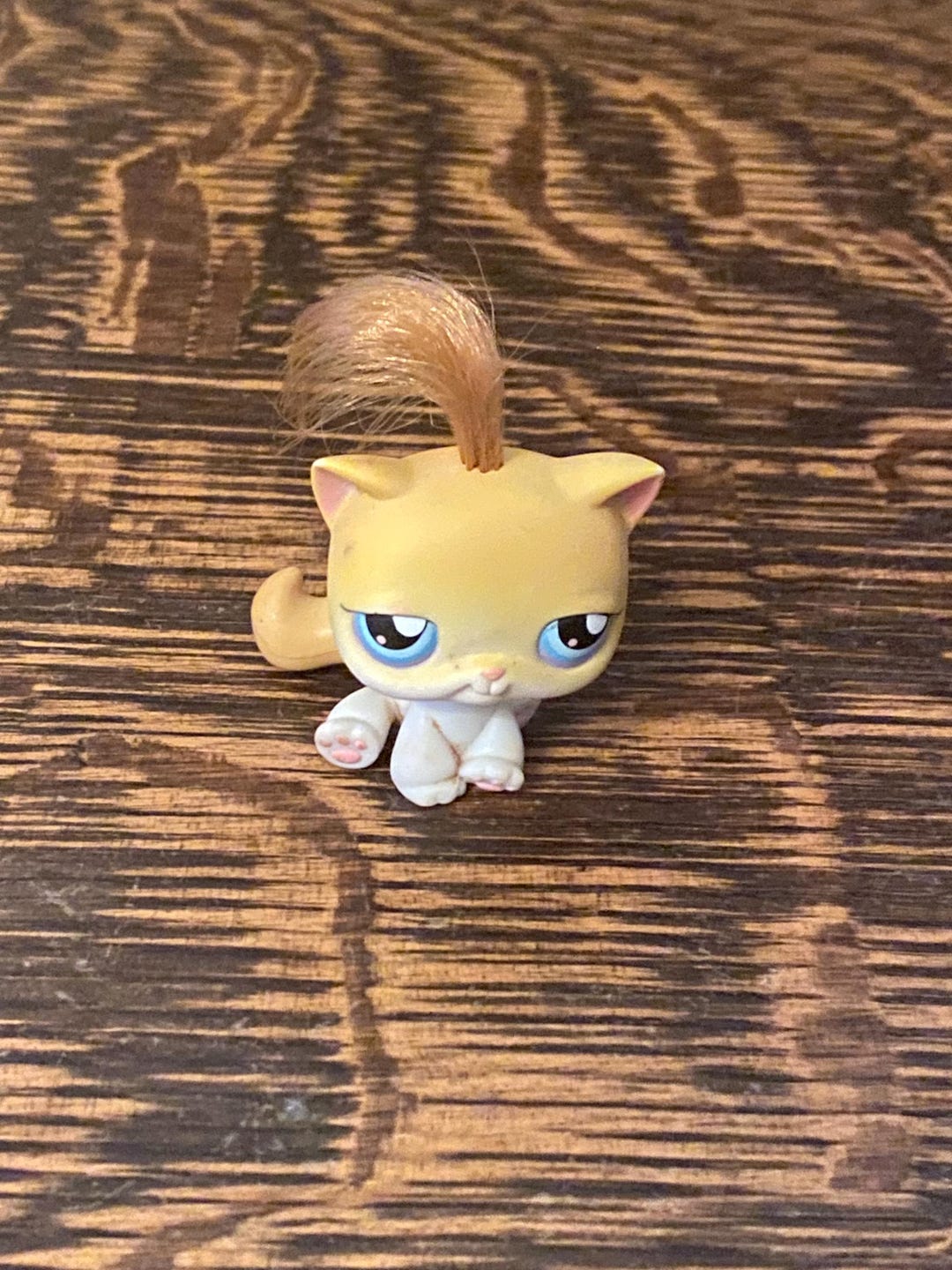 Littlest Pet Shop Cat With Hair #42 LPS Figure Hasbro - Etsy
