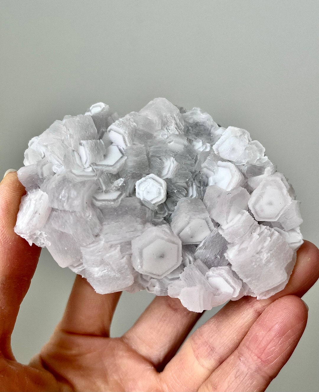 Fluorescent Pink Coin Calcite - Etsy