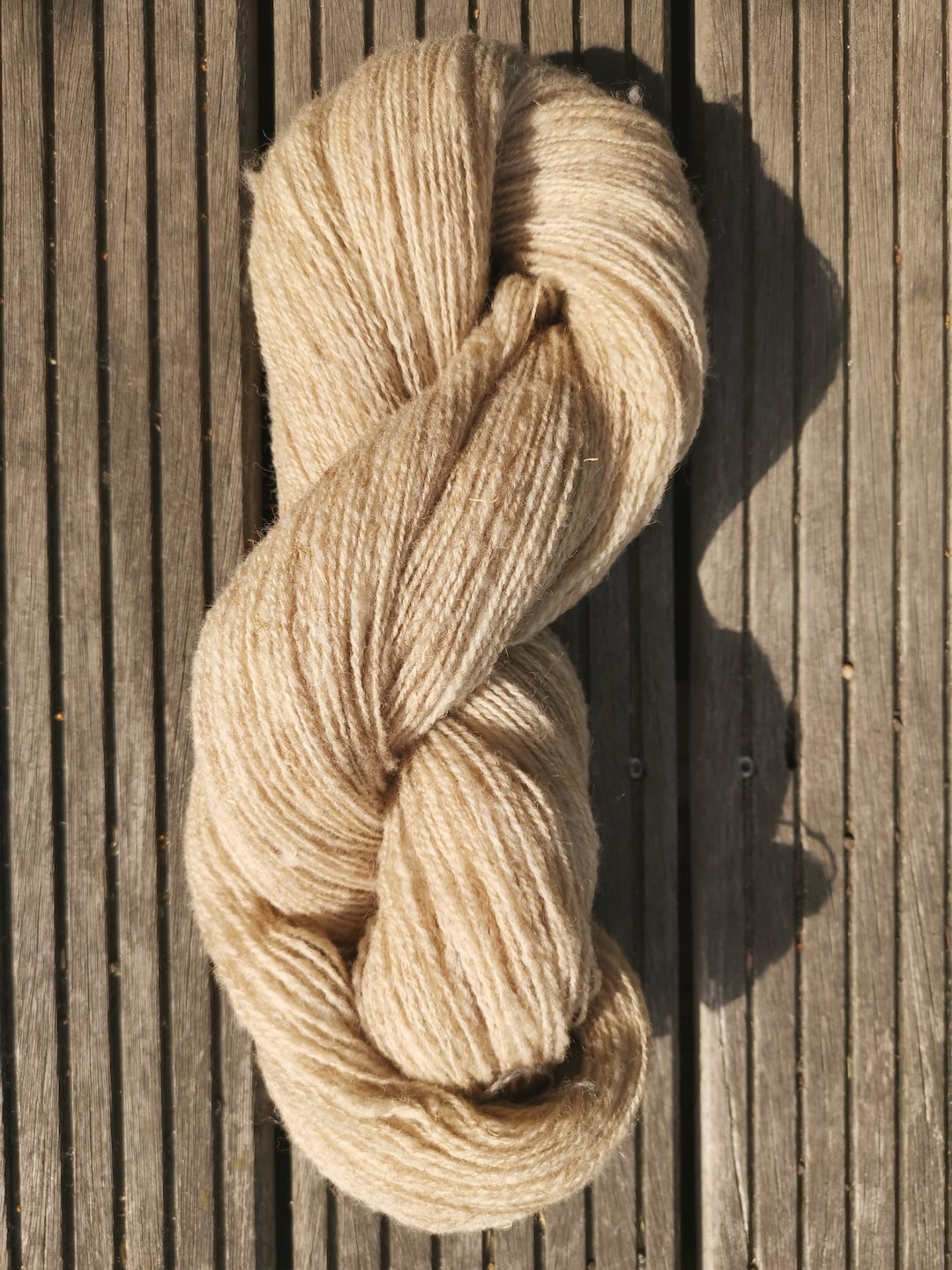 Hand-spun Wool From the Coburg Fox Sheep 100g 2 Compartment - Etsy