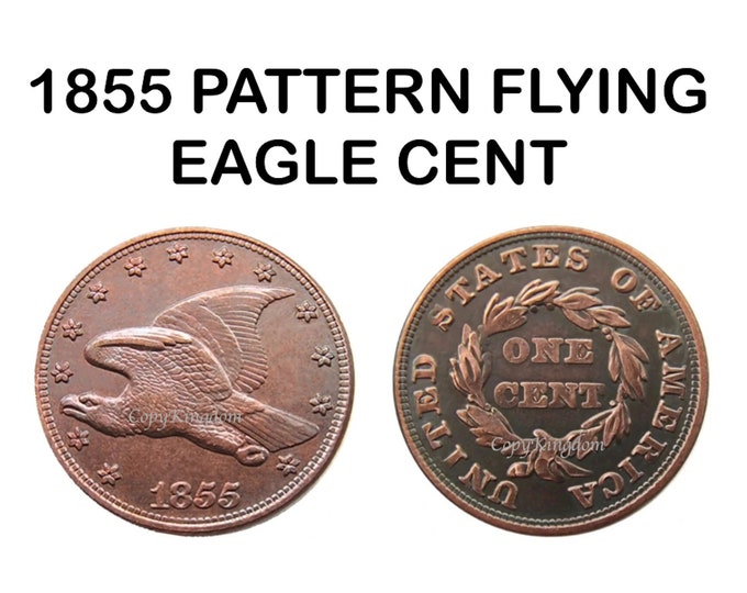 1855 Braided Hair Liberty Head Large Cent - Circulated - Etsy