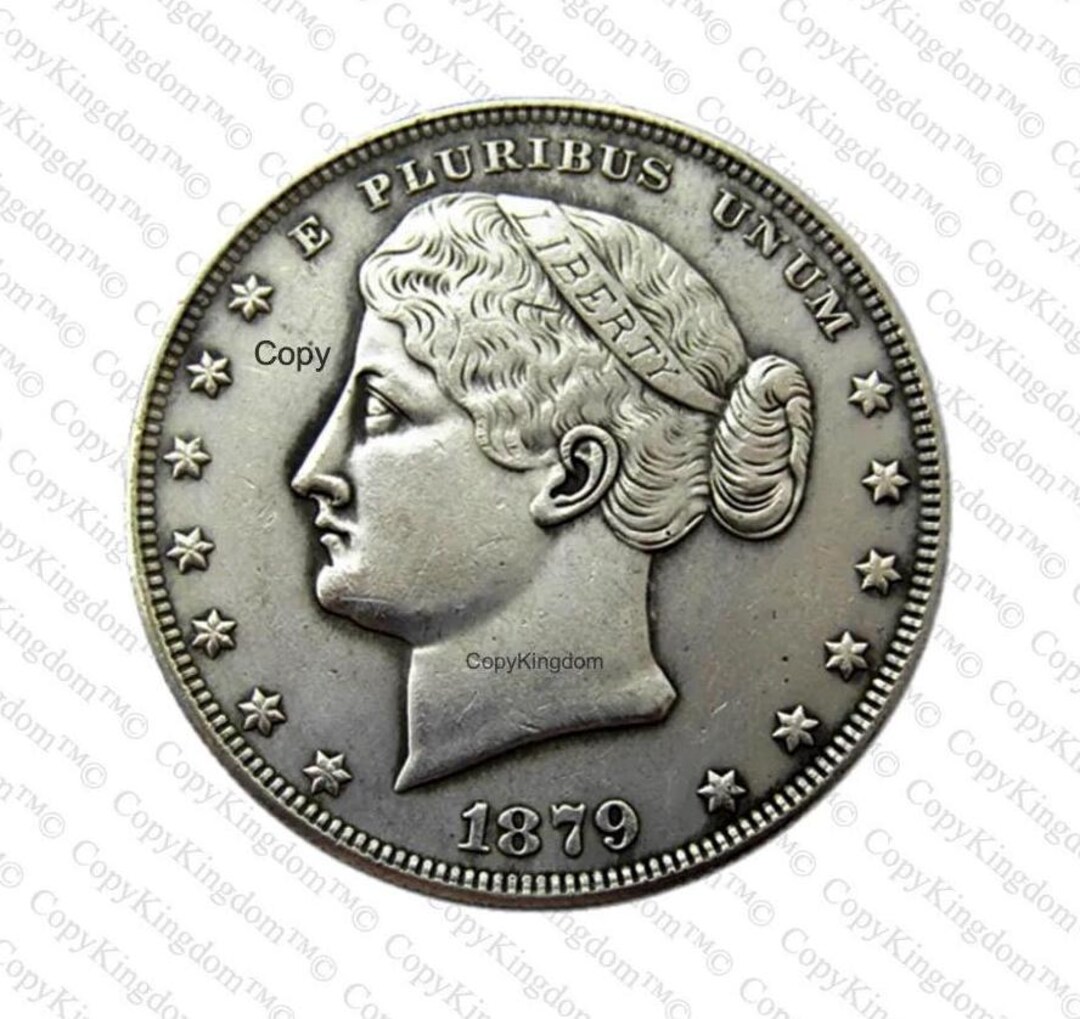 1879 Hair in Bun Silver Dollar Pattern Commemorative COPY Coin - Etsy