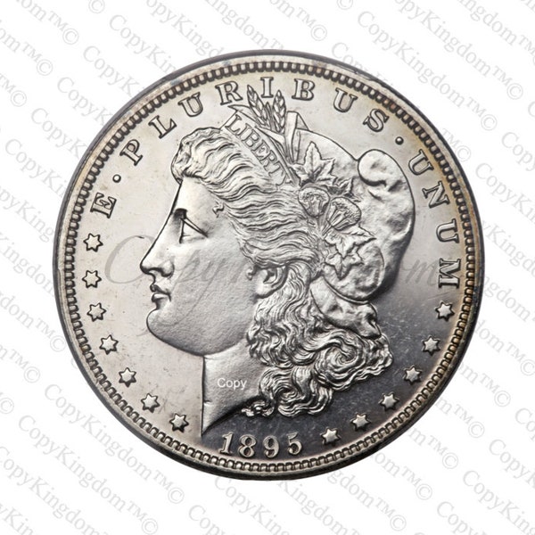 1895 Morgan Silver Dollar - Etsy