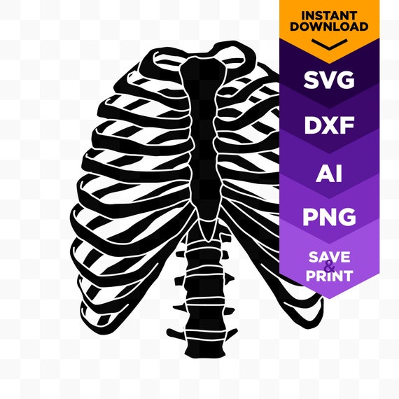 Skeleton Ribs SVG Cut File Skeleton Rib Silhouette Sticker - Etsy