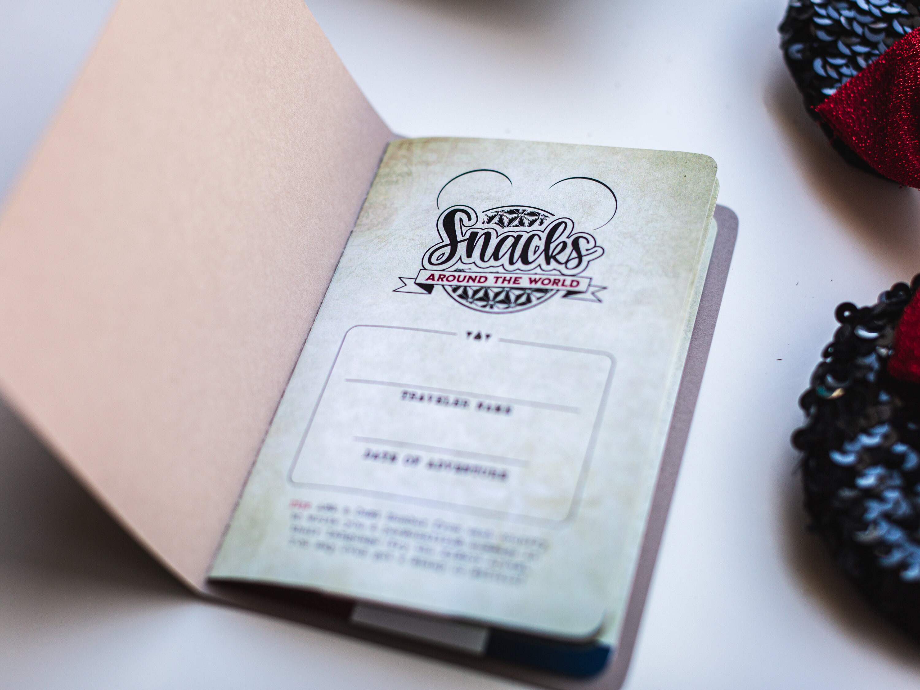 Snacks Around the World Passport Booklet Kid Friendly With - Etsy