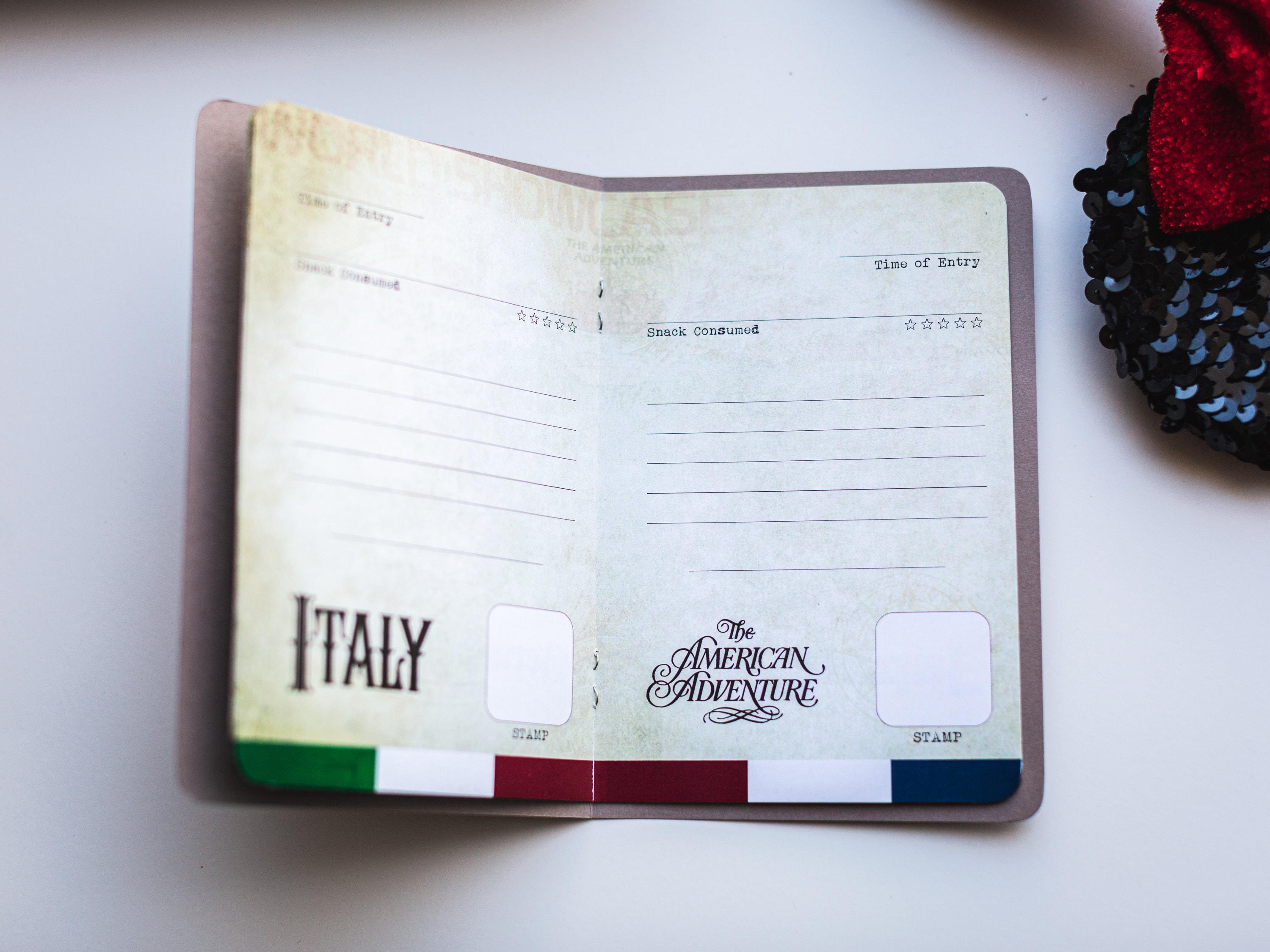 Snacks Around the World Passport Booklet Kid Friendly With Lanyard for ...