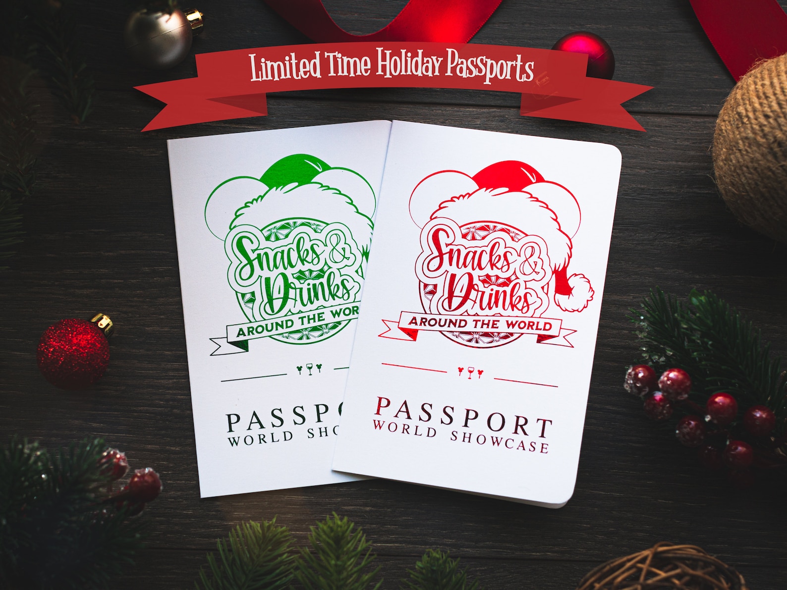 Snacks and Drinks Around the World Passport Booklet With - Etsy