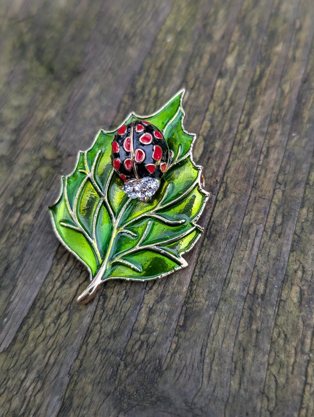 Leaf - Ladybird Brooch – Elegant & Beautiful, Minimalist Gift for Her ...