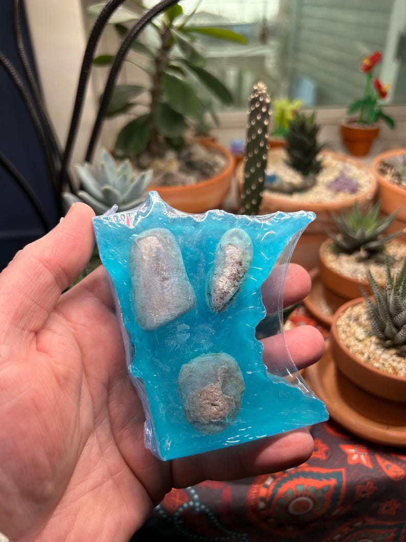 Lake Huron Fossil Soap - Etsy