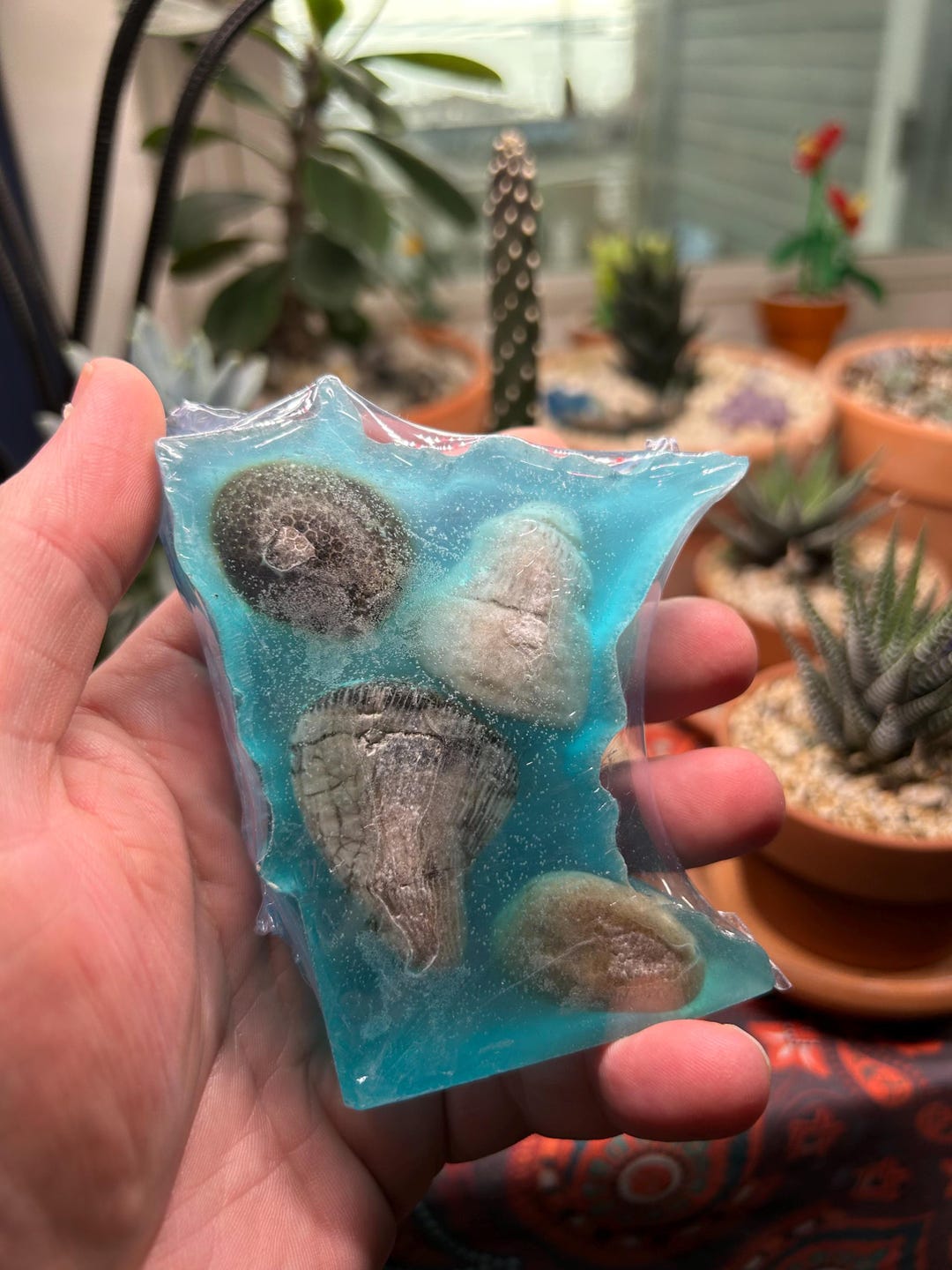 Lake Huron Fossil Soap - Etsy