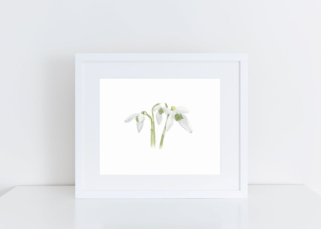 Snowdrop Wall Decor Botanical Watercolor Print Snowdrop Wall Art Flower ...