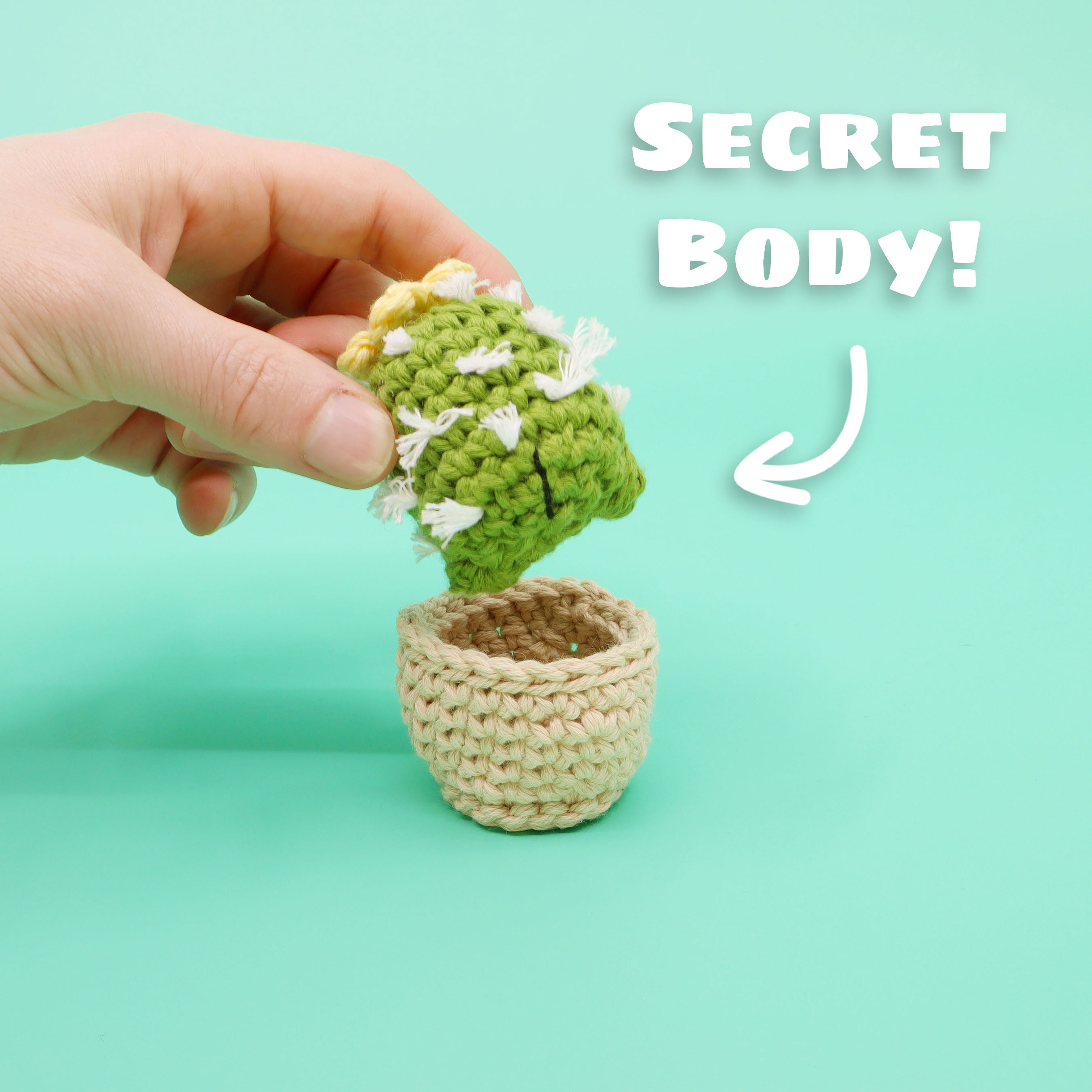 FREE Crochet Beginner Cactus Pattern Cacti Amigurumi - Etsy