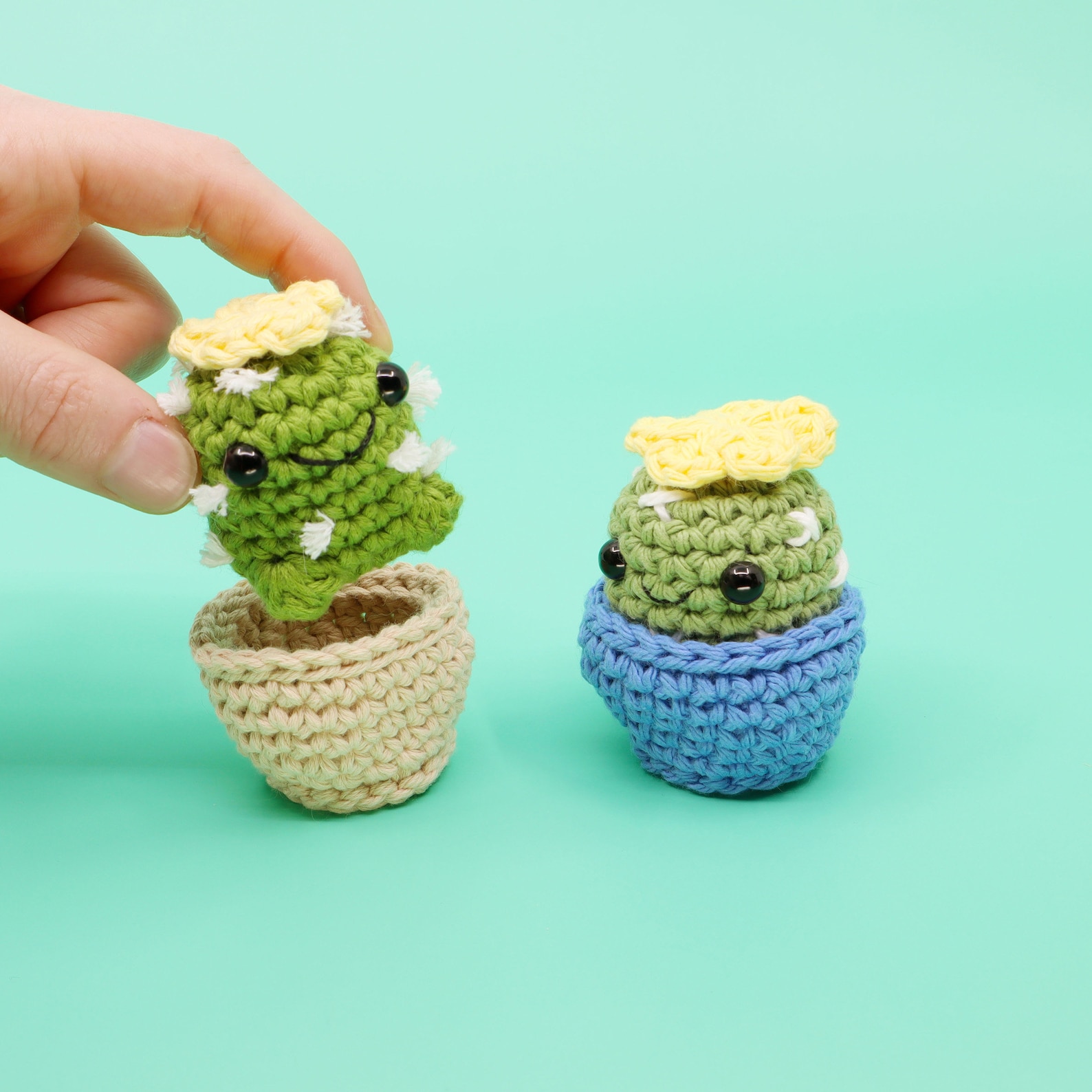 FREE Crochet Beginner Cactus Pattern Cacti Amigurumi - Etsy