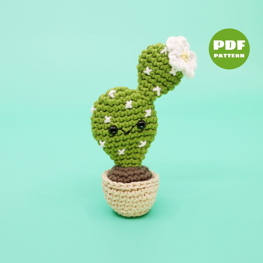 Crochet Flat Cactus Pattern - Cacti Amigurumi Crocheting Tutorial ...