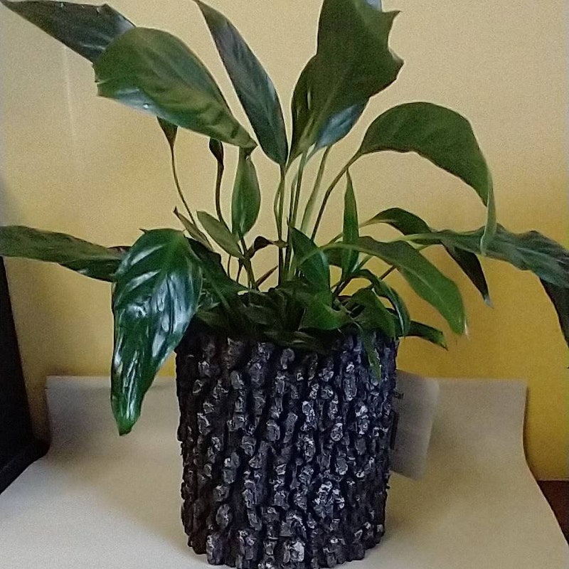 Log Planter - Etsy