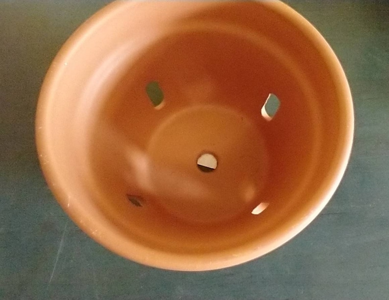 Terracotta Orchid Pot 6 New - Etsy