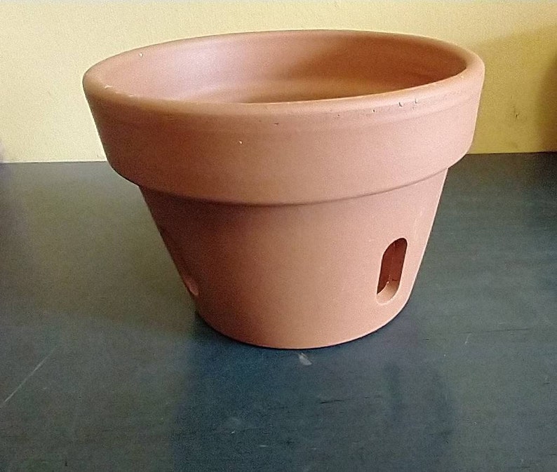 Terracotta Orchid Pot 6 New - Etsy