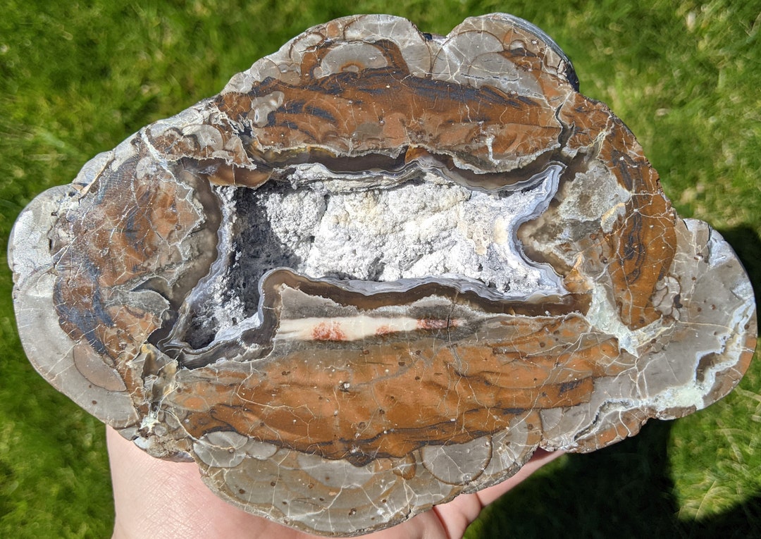 Unique Canyon Rim Thunder Egg Half - Etsy