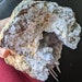 Botryoidal Agate Stalagmite Thunder Egg Geode Madras Oregon - Etsy