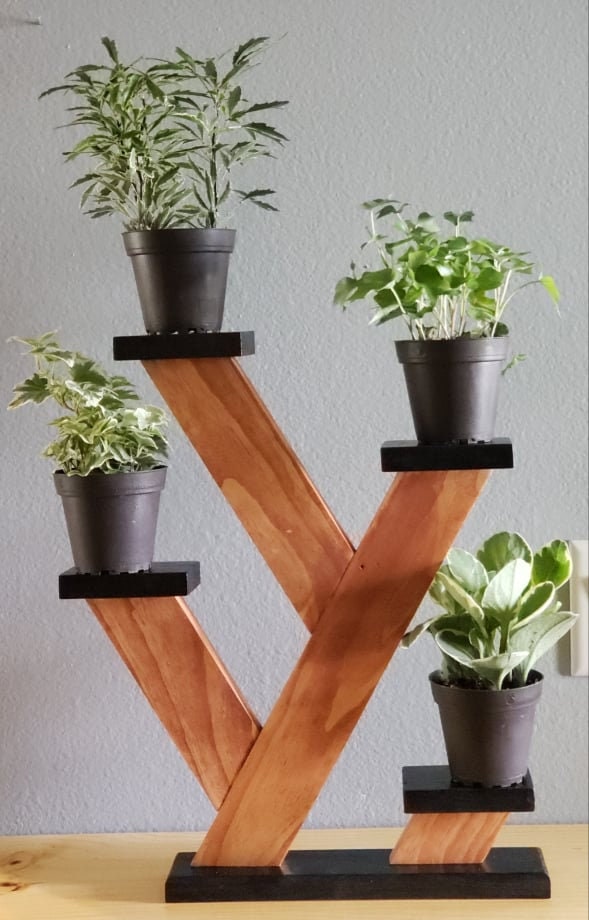 Modern and Bright Plant Stand Desktop Plant Succulent Plant - Etsy