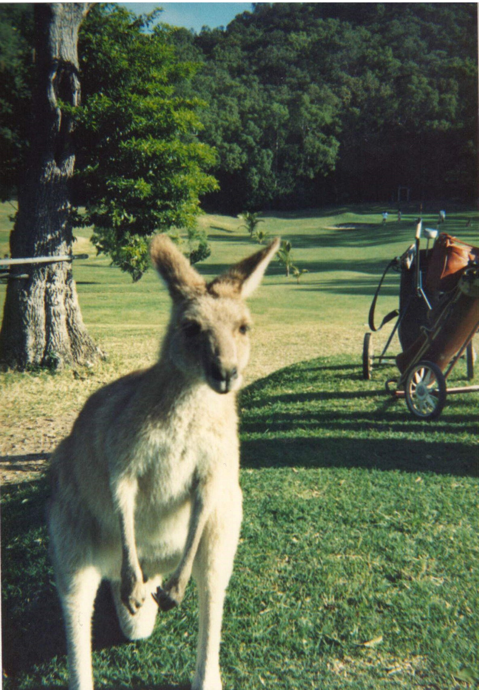 Printable Artwork of Charming Old Outback Pub at Toompine Queensland ...