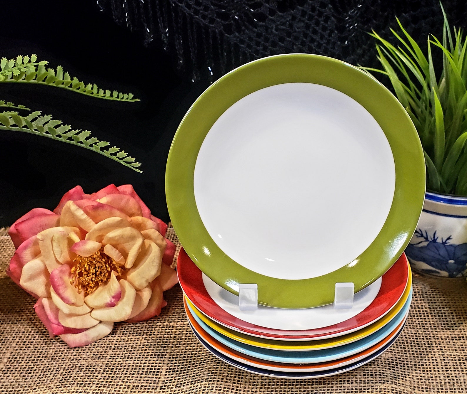 Crate & Barrel Color Banded Appetizer Tidbit or Dessert - Etsy