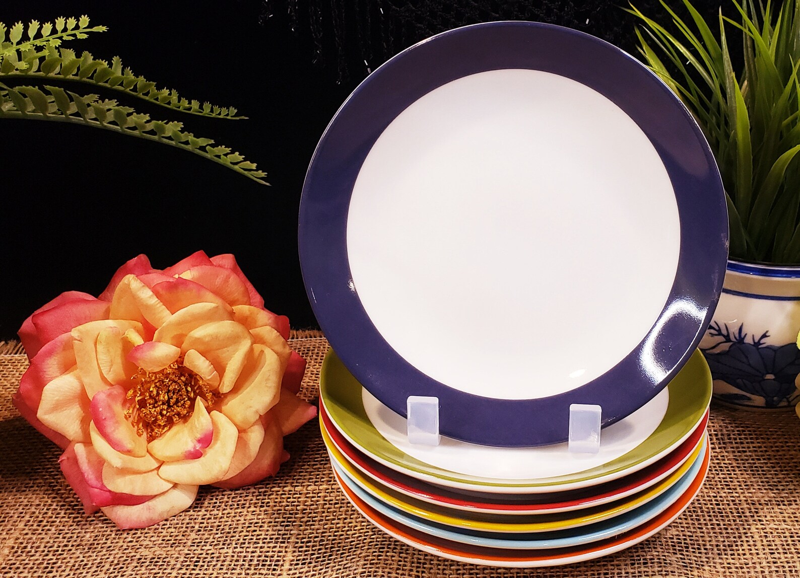 Crate & Barrel Color Banded Appetizer Tidbit or Dessert - Etsy