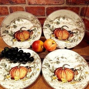 WILLIAMS SONOMA Plymouth PUMPKIN Salad Plates, Set of 4, Thanksgiving ...