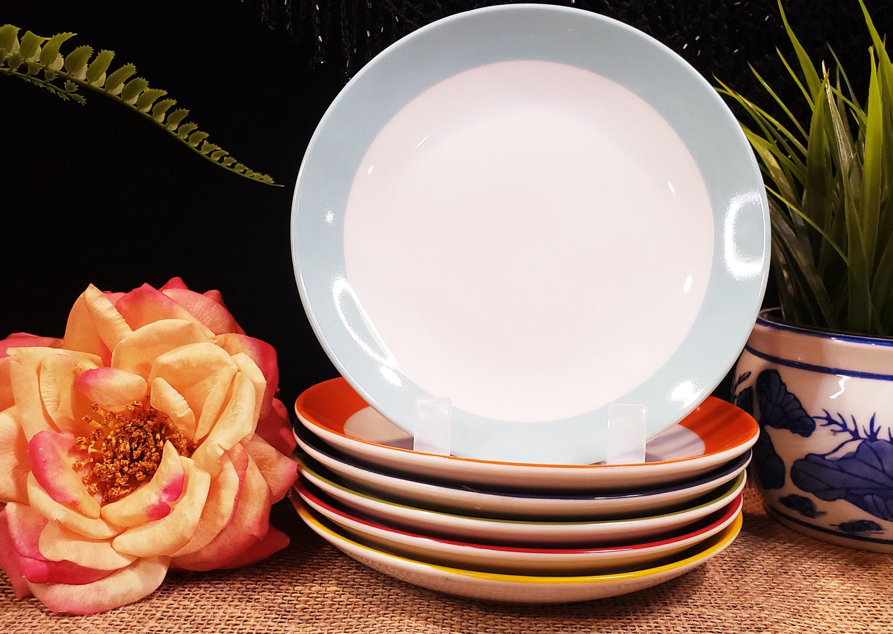 Crate & Barrel Color Banded Appetizer Tidbit or Dessert - Etsy