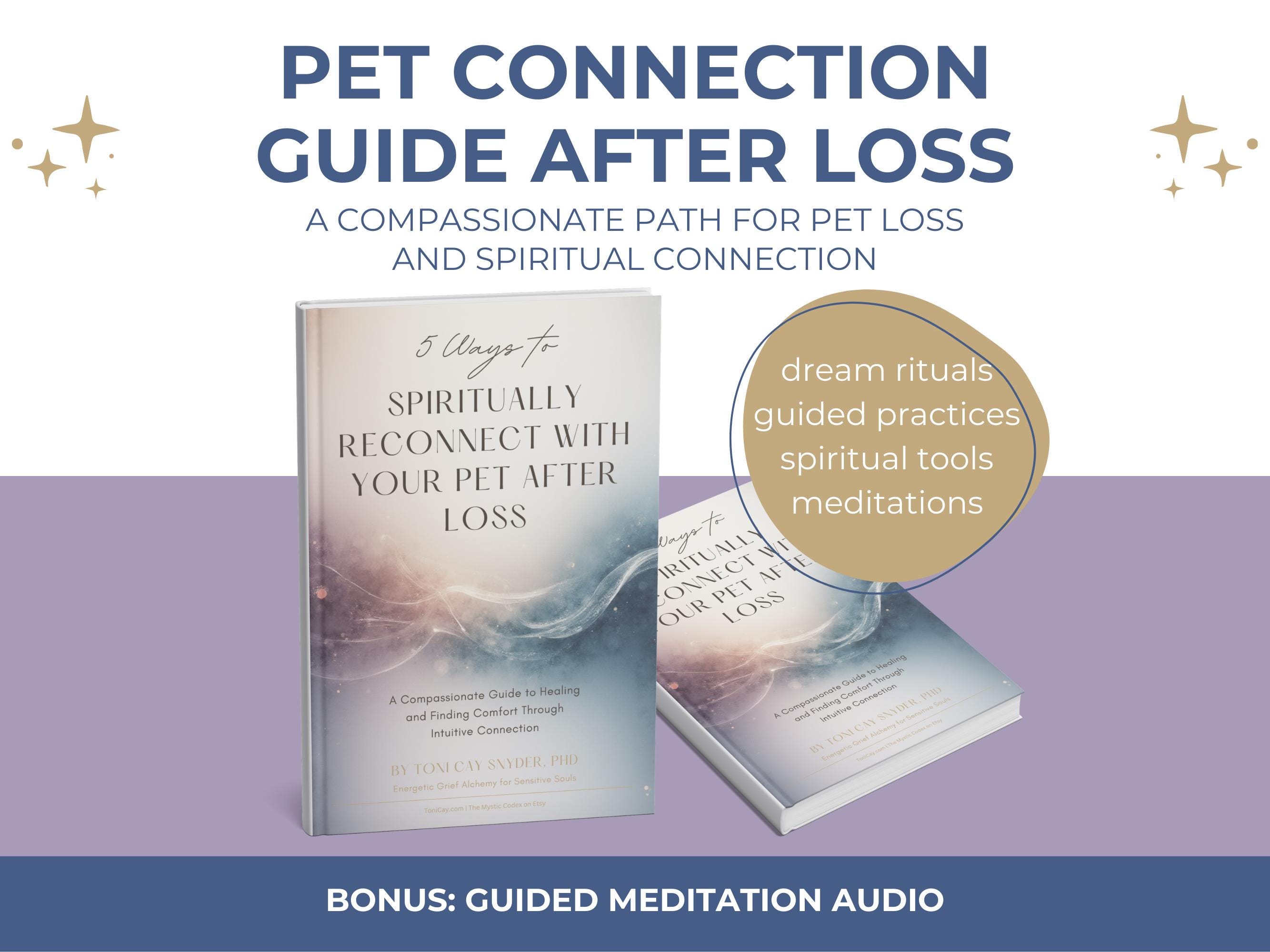 Pet Connection Guide After Loss PDF - Etsy