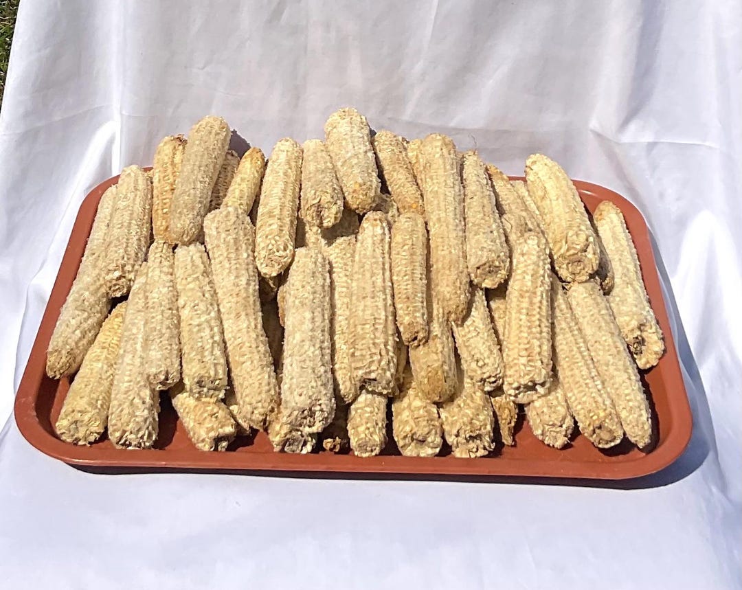 Organic Dried African Corn Cobs: Rustic Fall Decor, Craft Supplies (10 ...