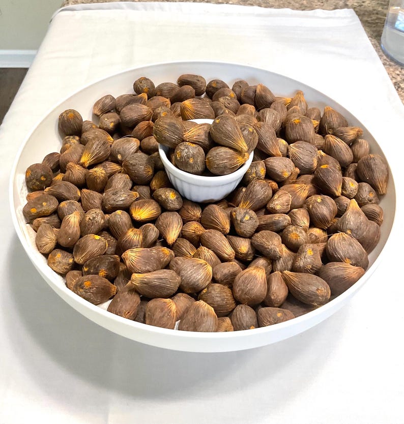 Organic African Palm Nuts - Cracked & Uncracked - Etsy