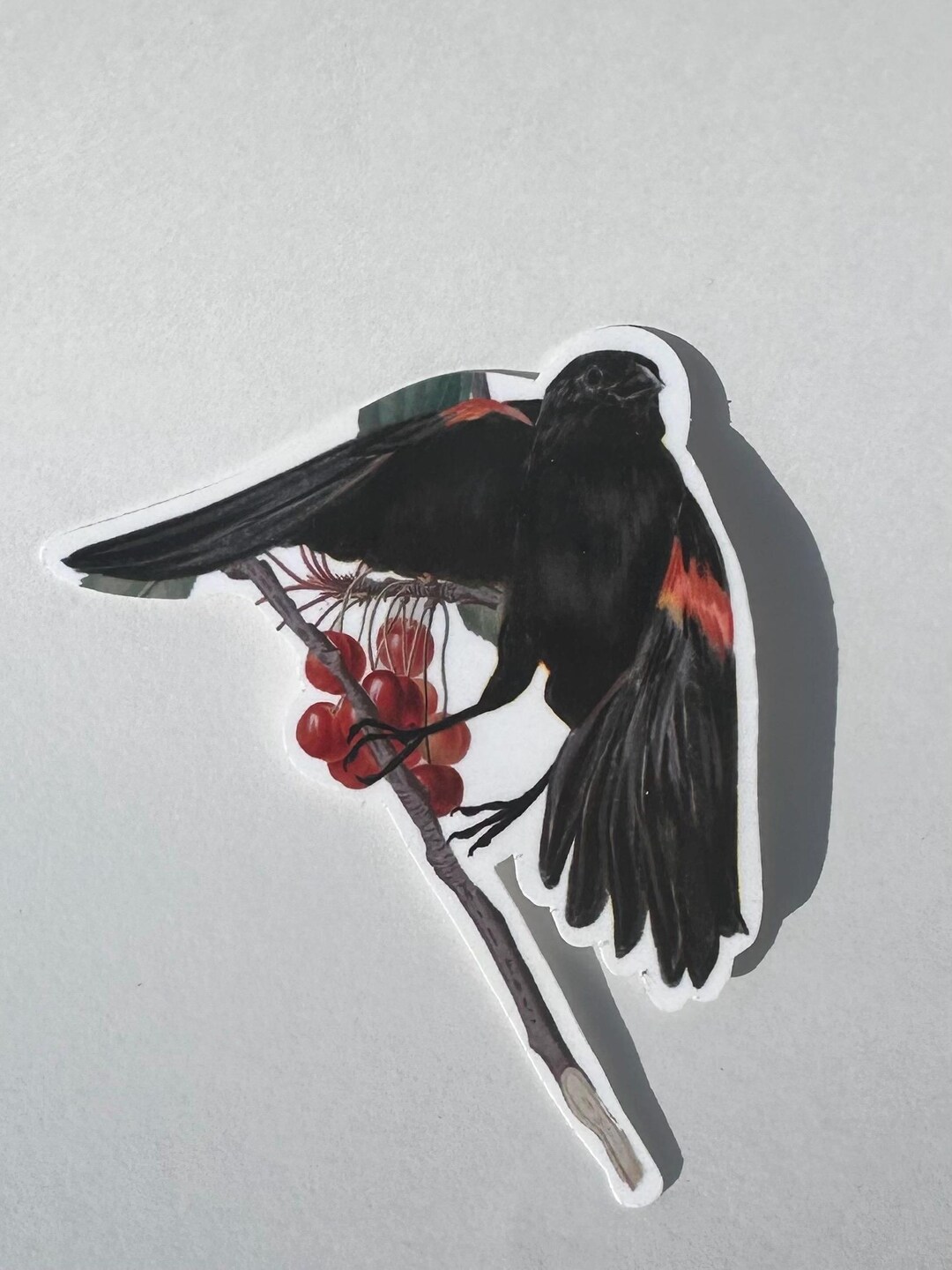 Black Bird Sticker - Etsy